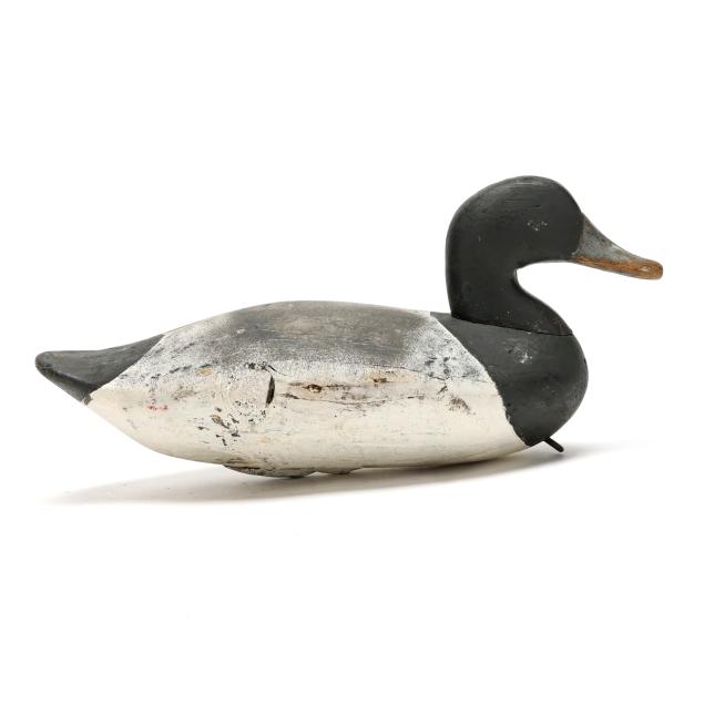 James "Jim" Holly (MD, 1855-1935), Bluebill with Important Core Sound ...