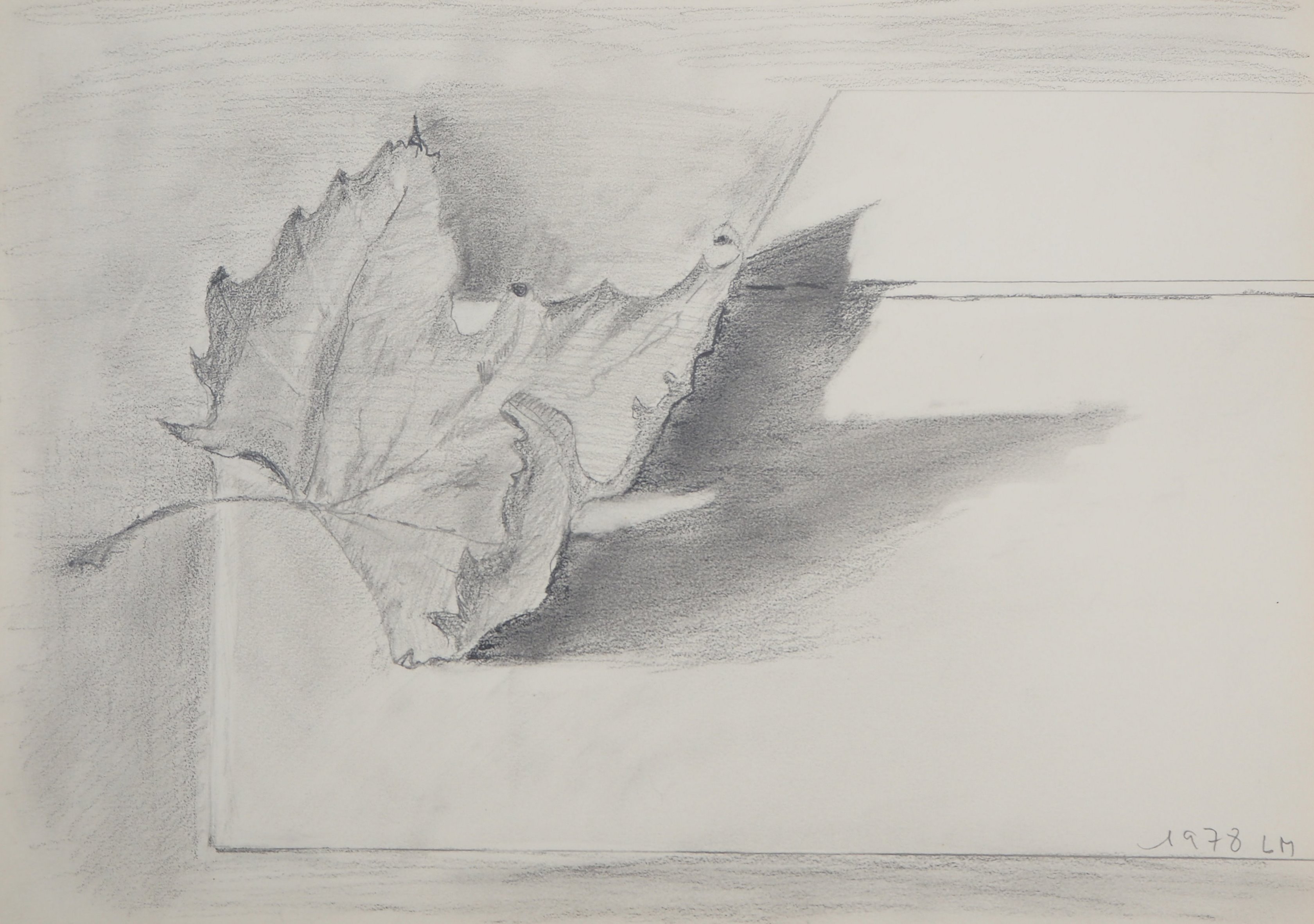 Lily MASSON : Feuille d’érable, 1978 - Dessin au crayon original signé ...