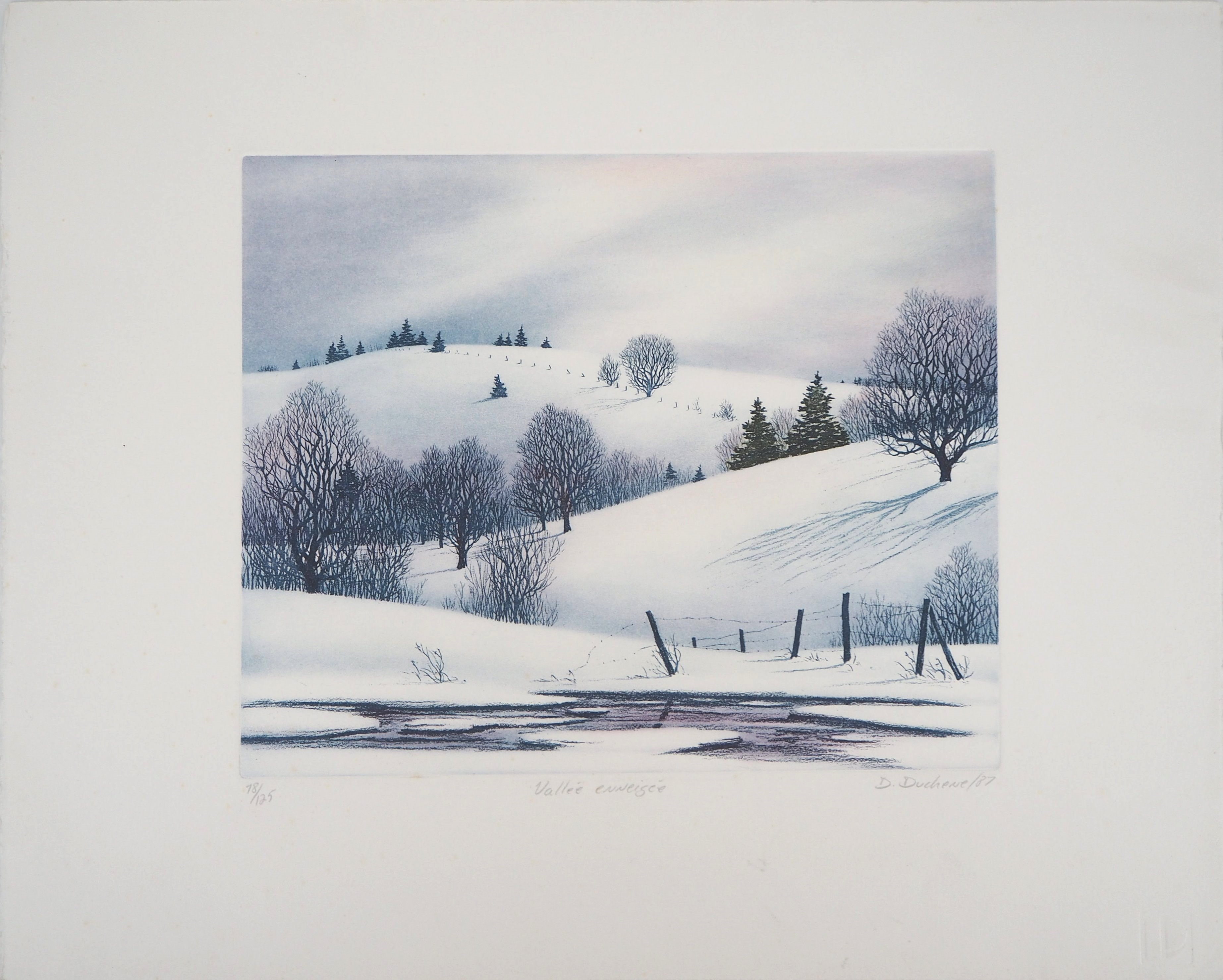 Darrell DUCHENE - Vallée enneigée, 1981 - Gravure originale signée ...