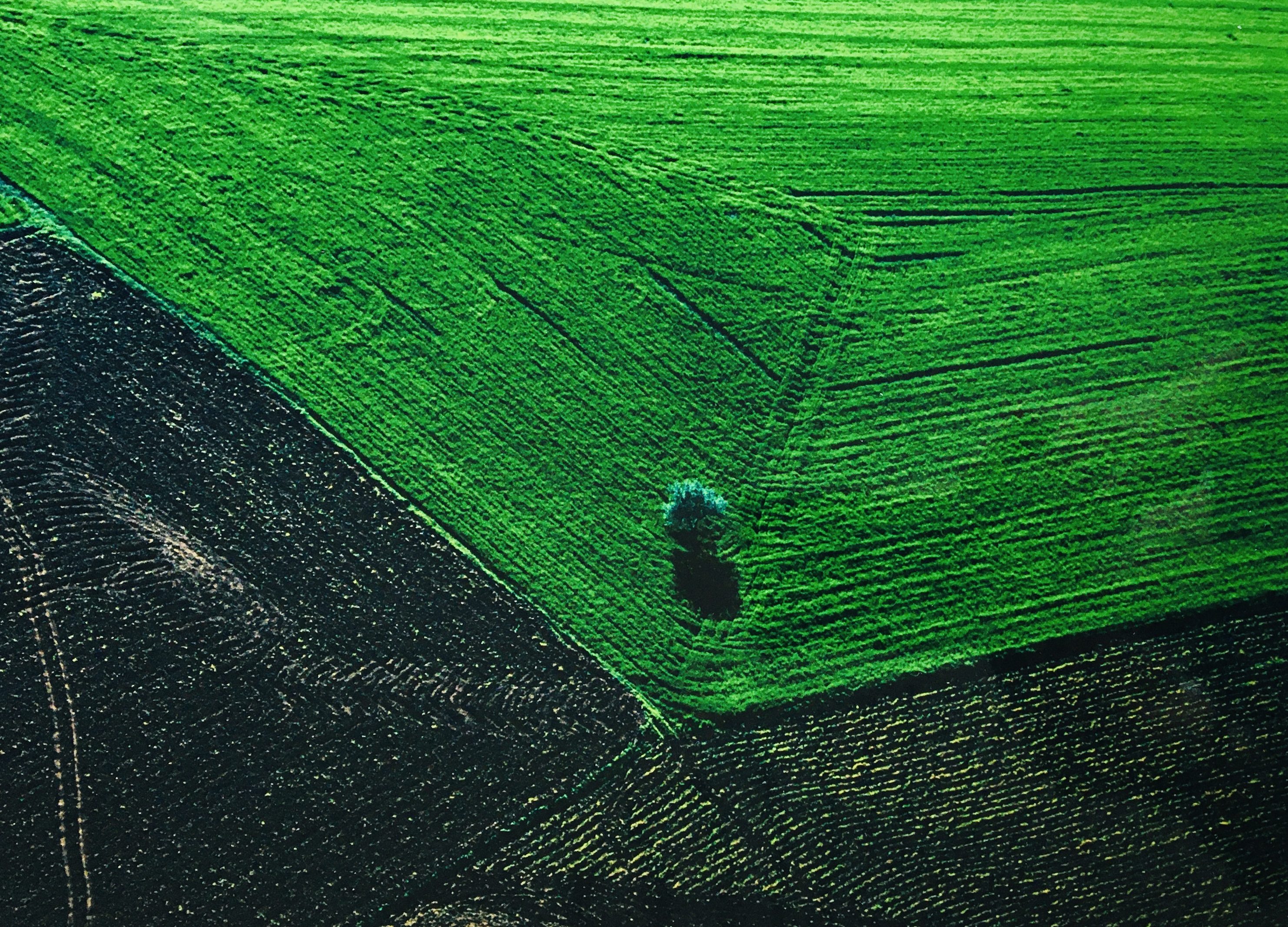 Yann ARTHUS-BERTRAND - Terres agricoles, 2005 - Photographie signée ...