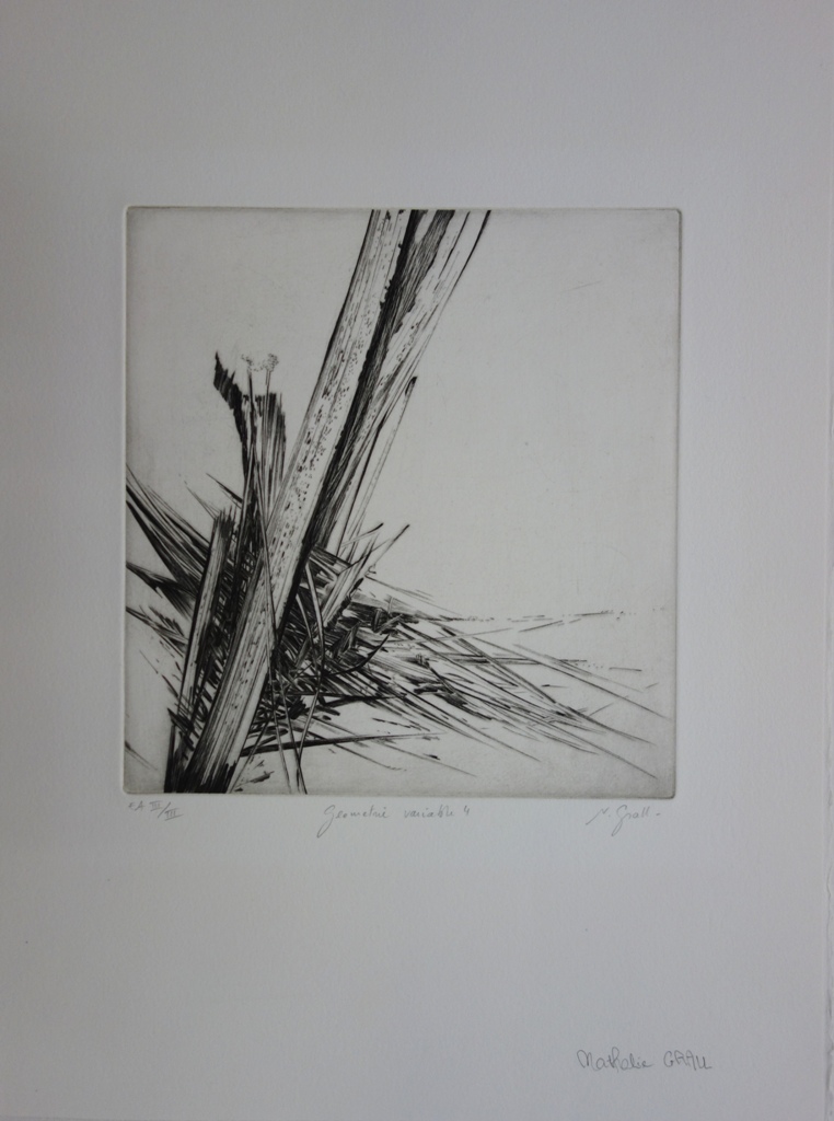 Nathalie GRALL : Géometrie variable, Gravure originale signée | Barnebys