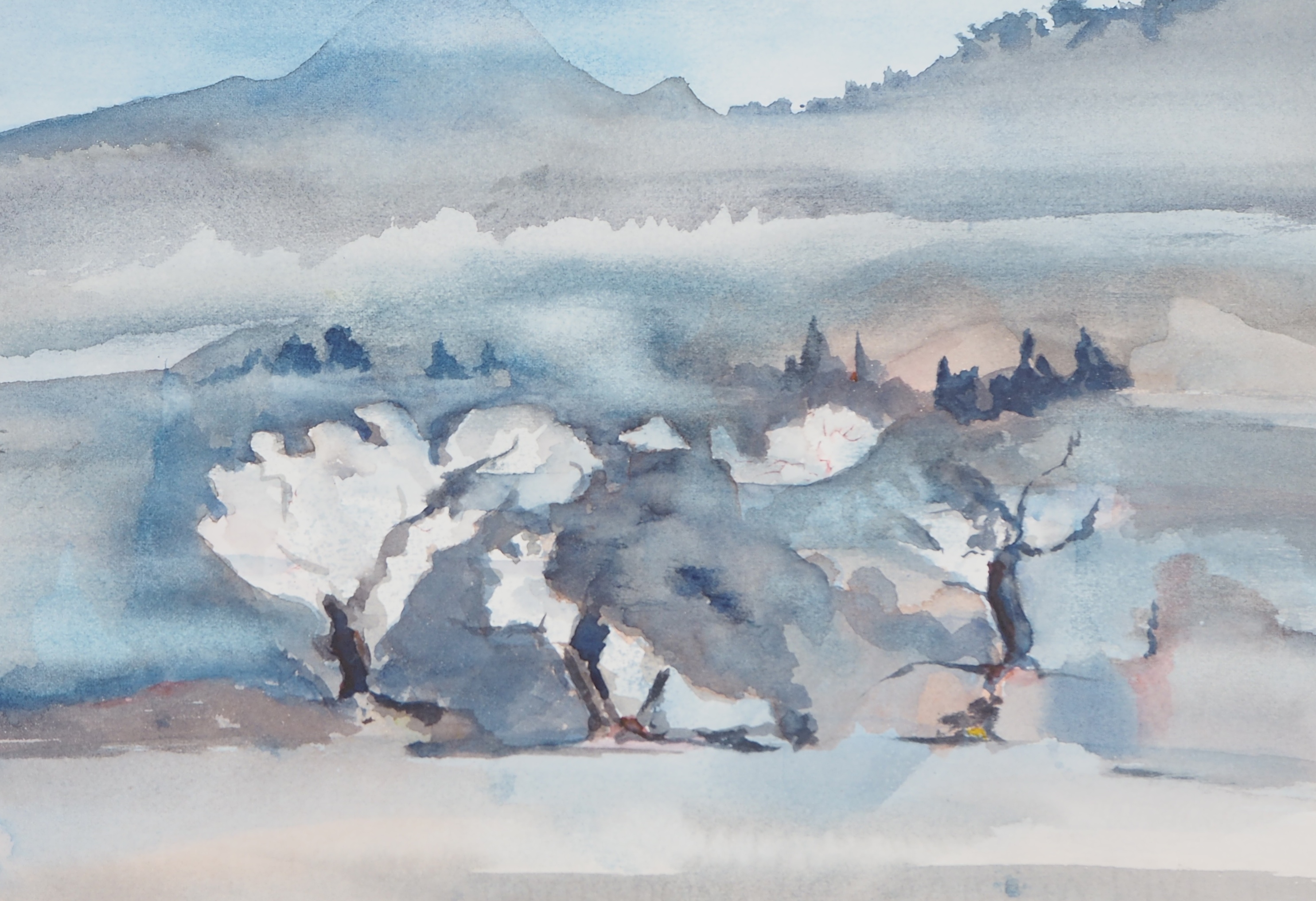 Lily MASSON : Forêt surréaliste, 1979 - Aquarelle originale signée ...