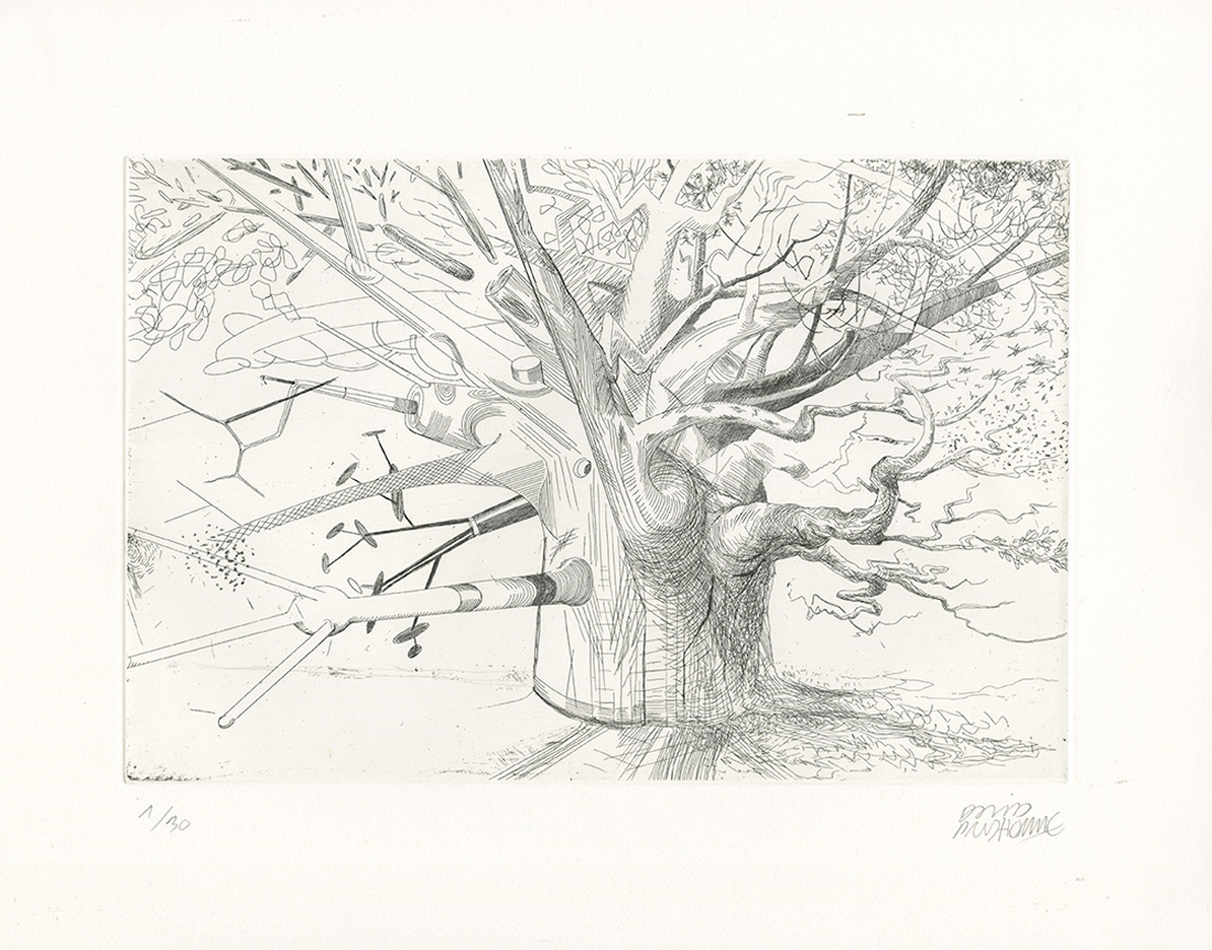 David PRUDHOMME - Arbre Évolution 1, 2017 - Eau-forte signée et ...