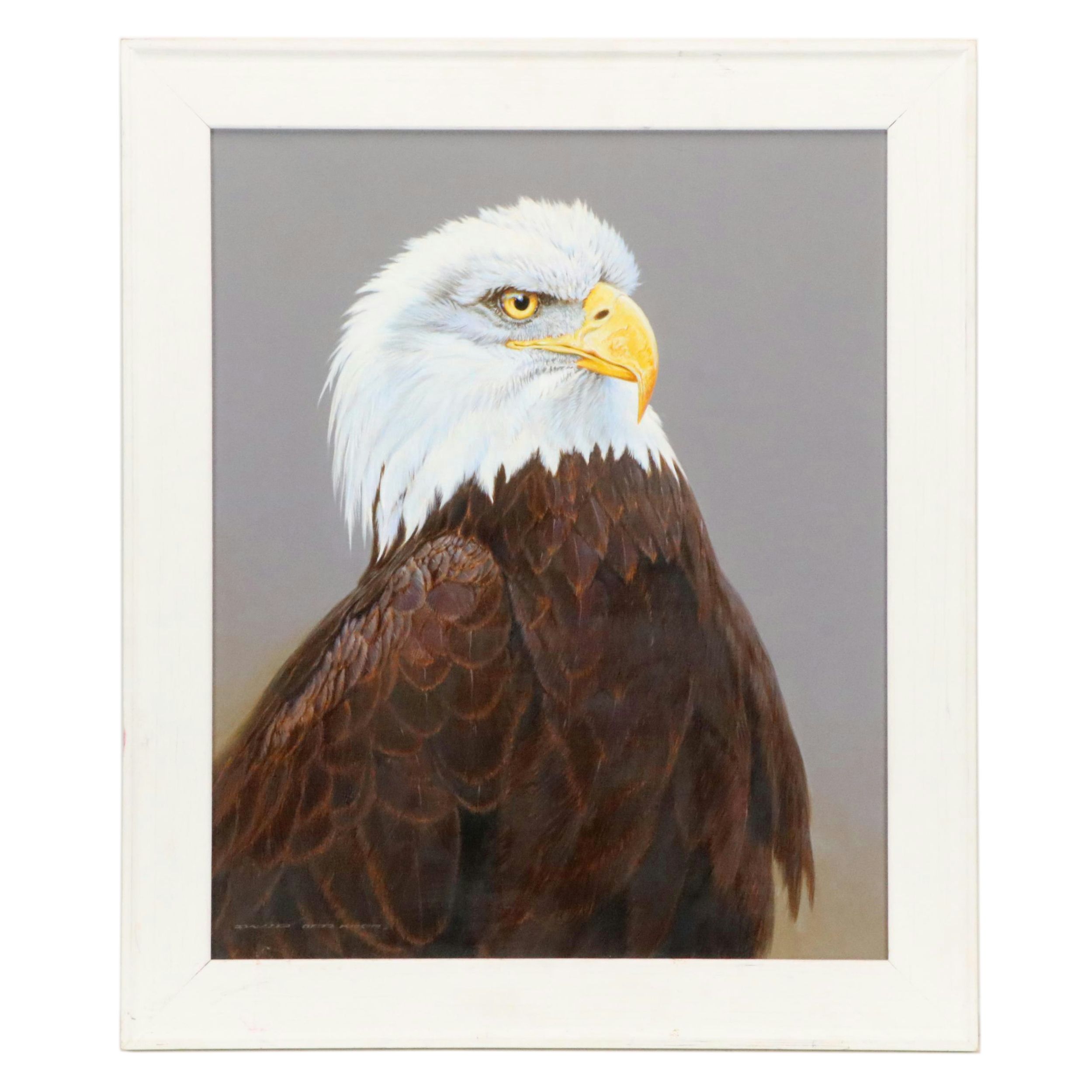 David Ord Kerr Portrait Oil Painting of Bald Eagle | Barnebys