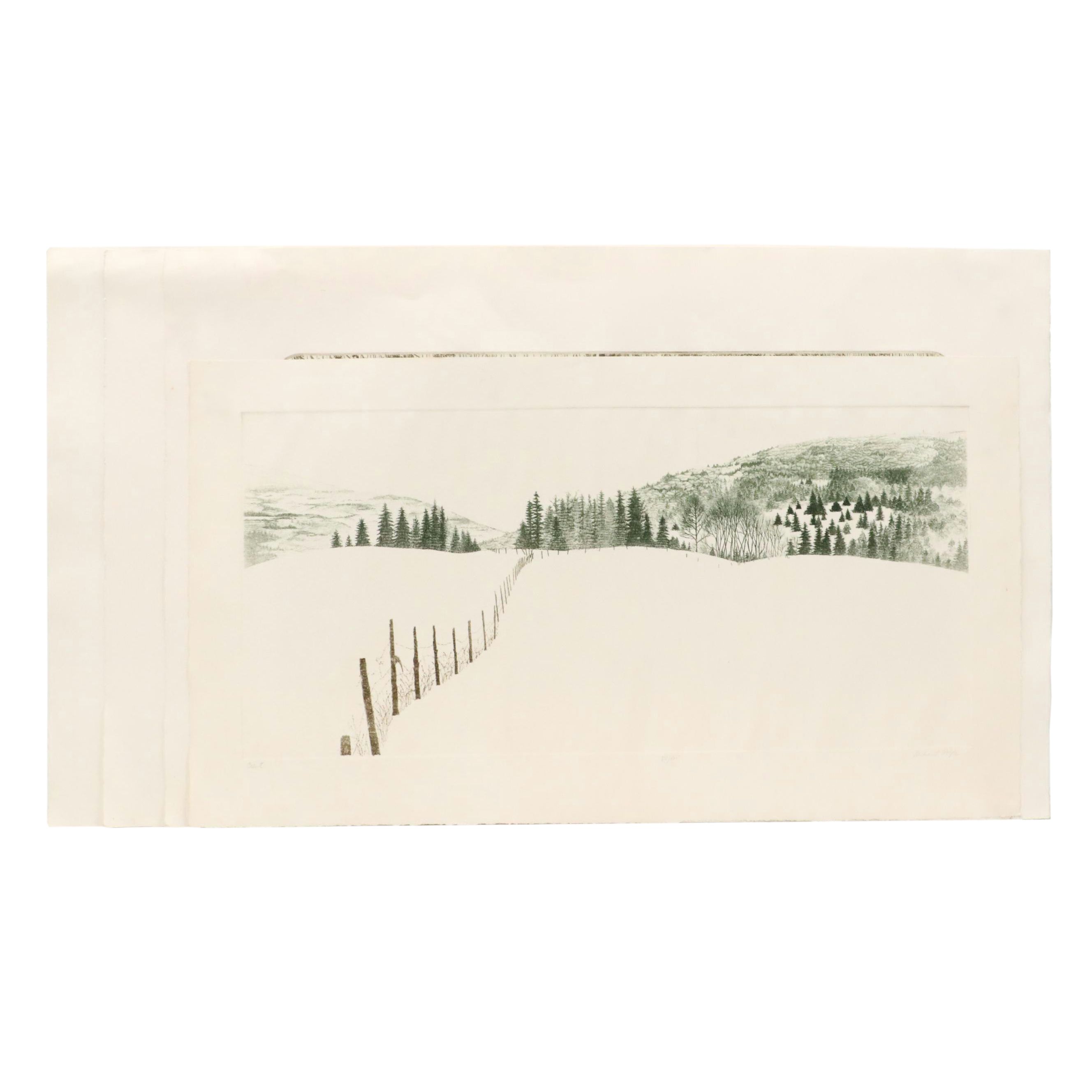 Set of Richard Volpe Etchings Including "Forest and the Trees" | Barnebys