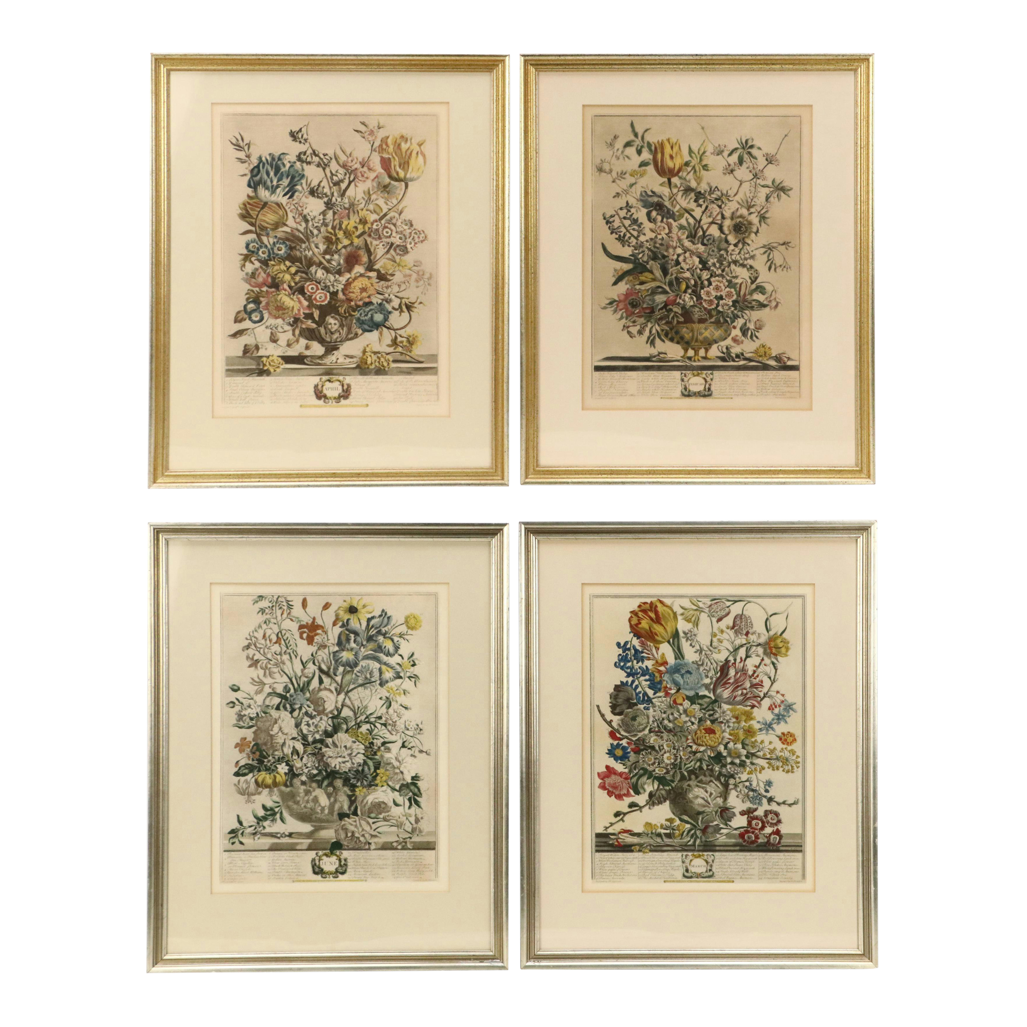 Botanical Hand-Colored Collotypes After Robert Furber | Barnebys