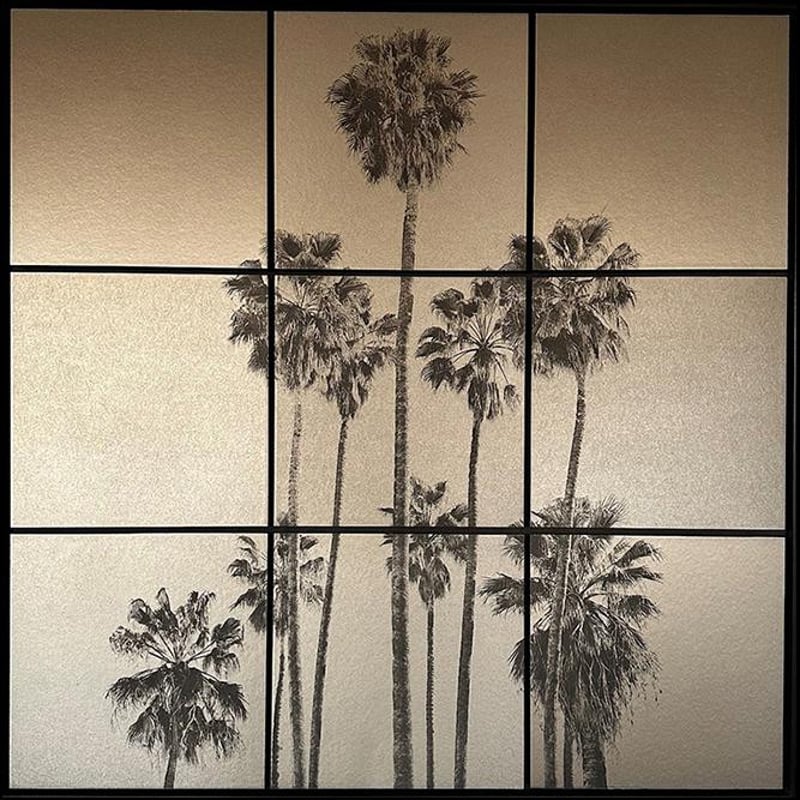 Anne Valverde - Contemporary Photographer - California Dream ( Palmiers ...