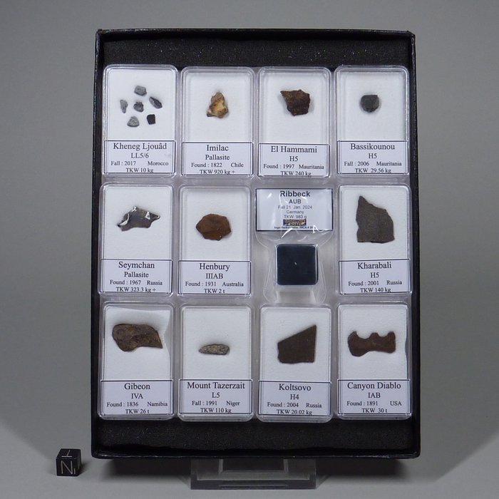 12 different boxed Meteorites - Falls and Finds with Name - 12 st ...
