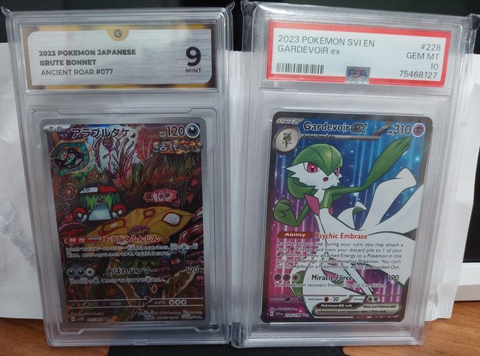 Pokémon - 2 Graded card - Gardevoir ex and Brute Bonnet... | Barnebys