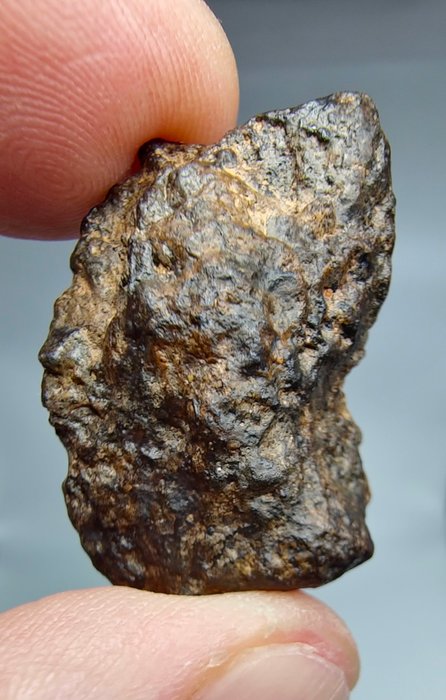 This is one of only ten meteorites approved as achondrite-primitive ...