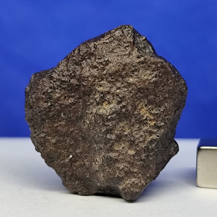XL ANGRITE METEORITE - The oldest Plutonic stone in the... | Barnebys