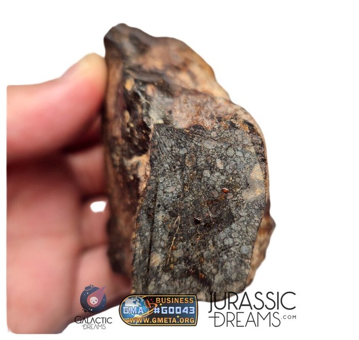"NWA 17596" MAIN MASS Ordinary Chondrite Type LL3... | Barnebys