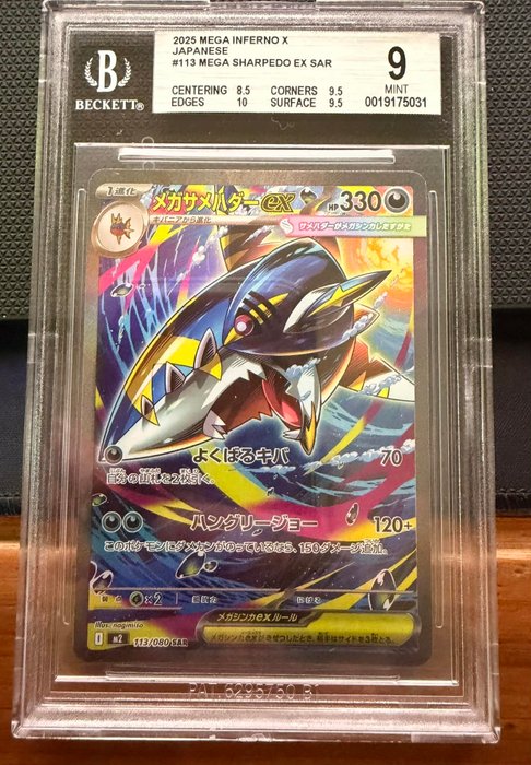 Pokémon Graded card - MEGA SHARPEDO EX SIR RARE BGS... | Barnebys