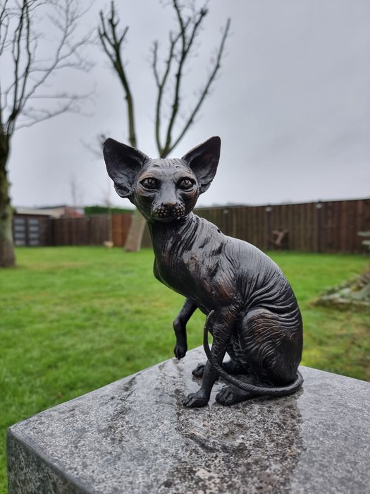 Statue, Bronze Sphynx Cat Hand-Crafted - 21.5 cm - Bronze - 2025 | Barnebys