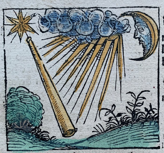 Albrecht Dürer: Das Selbstverständnis eines Renaissancekünstlers ...