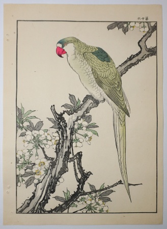 KEINEN IMAO 今尾景年 (1845–1924) - Keinen Kacho Gafu (Four Seasons Album ...