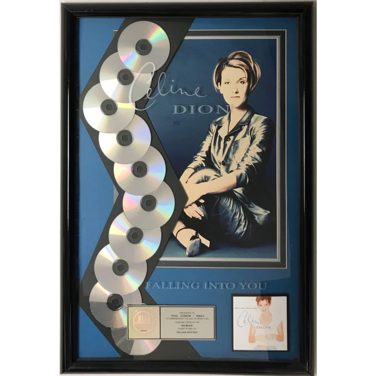 Celine Dion Falling Into You RIAA 10x Platinum Award | Barnebys
