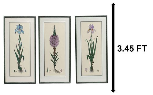 (3) Dan Mitra (Born 1951) Romanian/American, Limited Edition Botanical ...