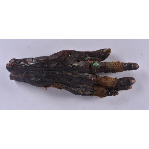 A RARE EARLY EGYPTIAN MUMMIFIED HAND contained within a Vict... | Barnebys