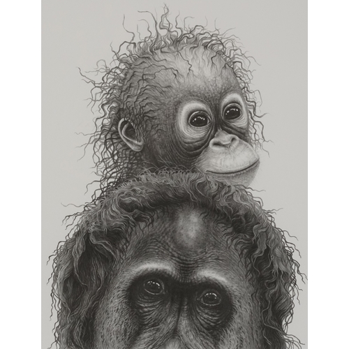 WW2 pilot autographed Letter Signed Rt Hon Sir Robert Grant - Ferris ...