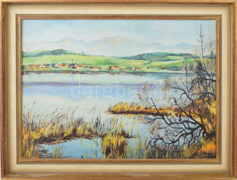 Bernhard Blum (-): A Riegsee Murnaunál, Bajorország. Olaj, farost, jel ...