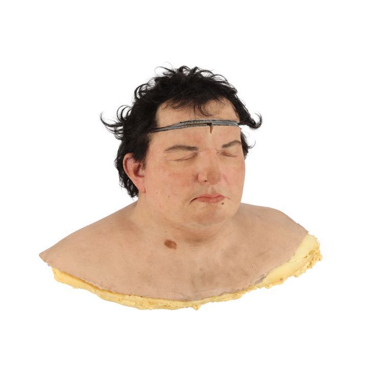 SARAH JANE ADVENTURES, THE (TV SERIES, 2007-2020) | Barnebys