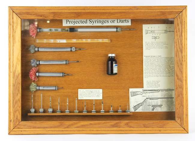 A collection of costume jewellery | Barnebys