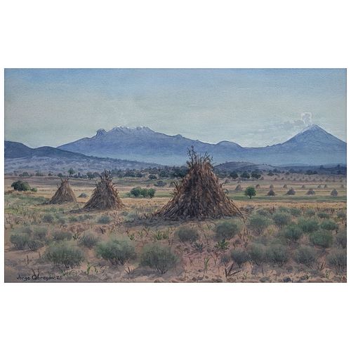 JORGE OBREGÓN. Volcanes con mogotes. Firmada y fechada 25 al frente ...